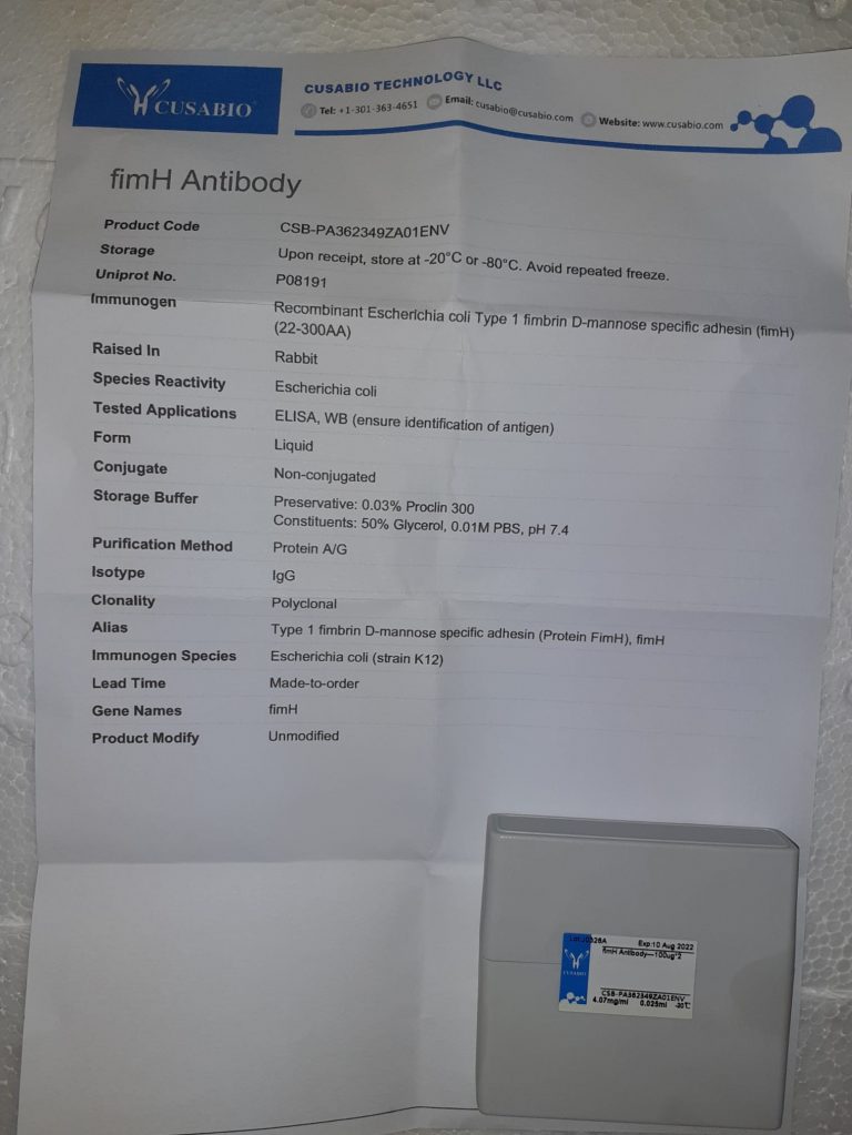 pcr2 1 topo map Archives - Kash Biotech Express