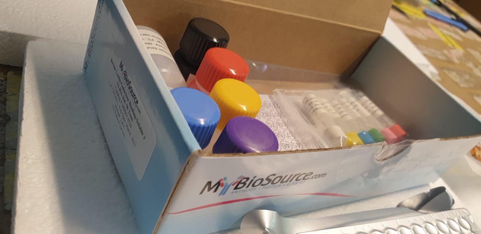 Versatile and rapid microfluidics-assisted antibody discovery - Kash ...